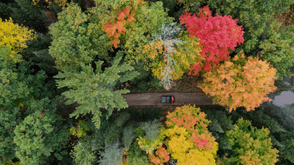 Destination The Great Northwoods - Midwest Meetings